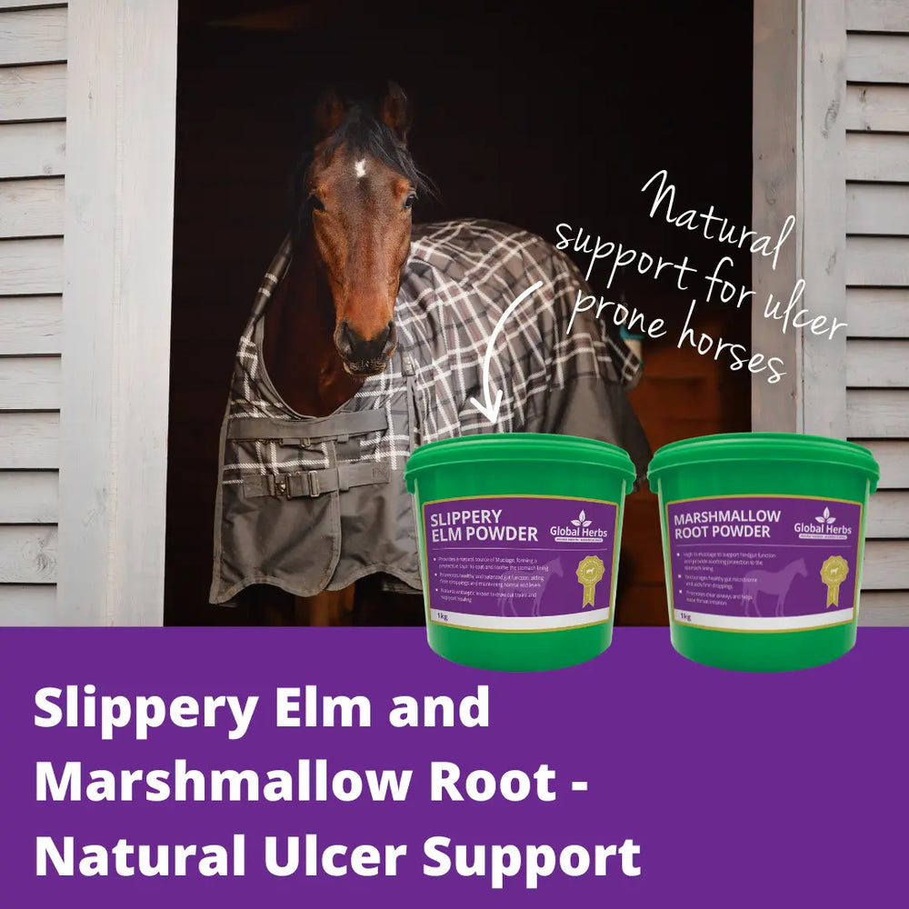 Slippery Elm and Marshmallow Root - Natural Ulcer Support - Global ...