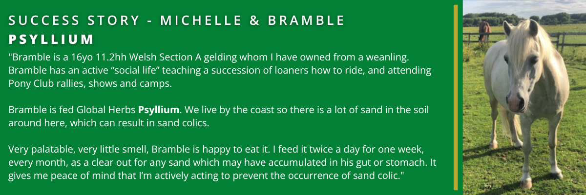 Equine Supplements – tagged "Laminae" – Global Herbs (Europe) Ltd